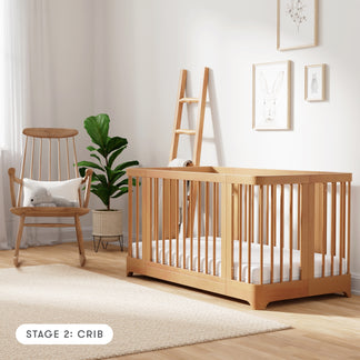 Newton Nest 4-in-1 Convertible Crib
